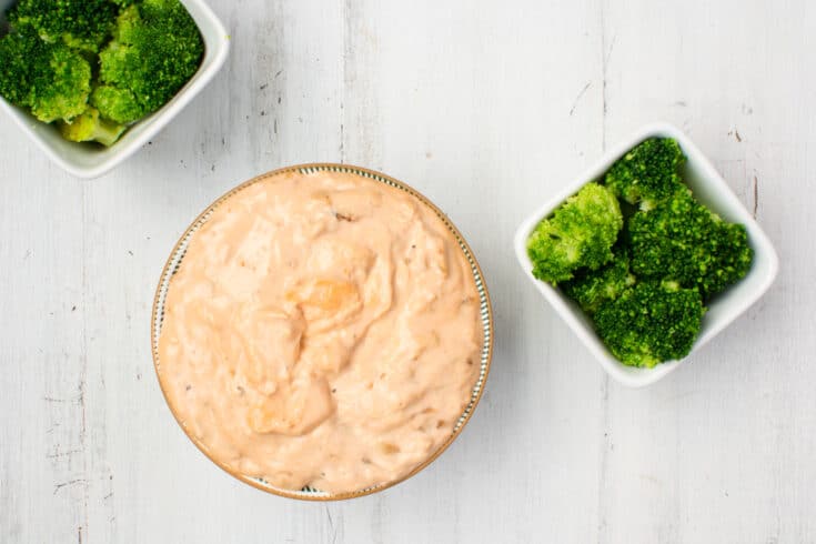 Buffalo Chicken Dip Without Cream Cheese - Oh So Foodie