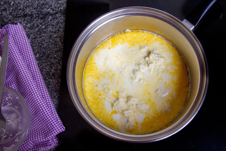 Creamy Pasta Sauce With Milk - Oh So Foodie