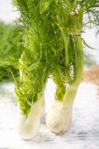 21 Best Dill Substitute Options That Work In A Pinch - Oh So Foodie