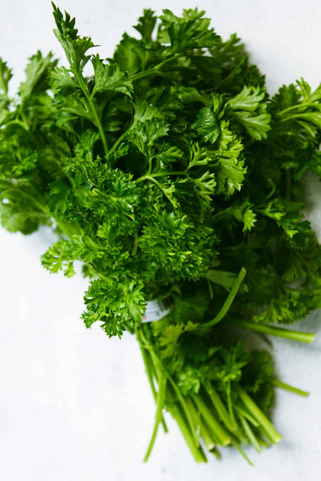 21 Best Dill Substitute Options That Work In A Pinch - Oh So Foodie