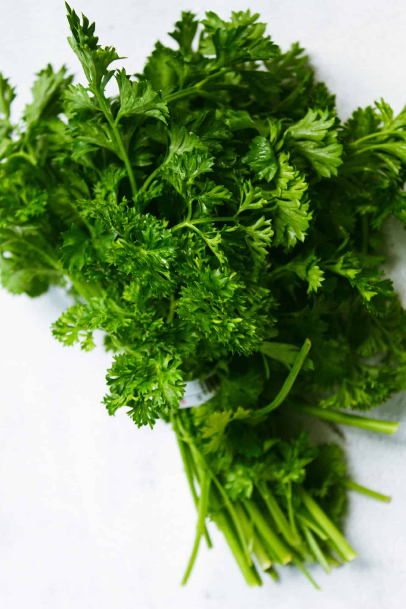 21 Best Dill Substitute Options That Work In A Pinch - Oh So Foodie