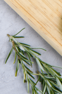 21 Best Dill Substitute Options That Work In A Pinch - Oh So Foodie
