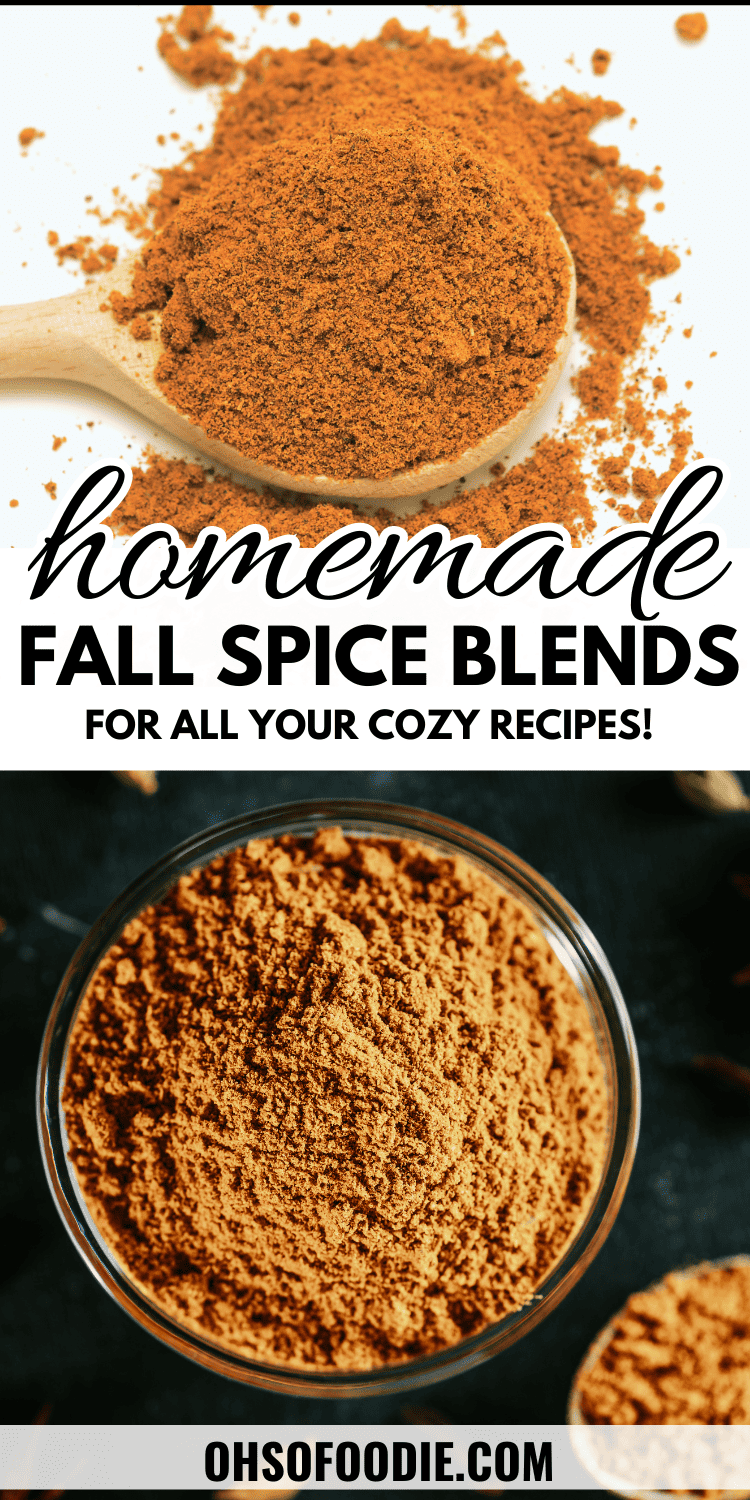 9+ Homemade Fall Spice Blends For All Your Cozy Recipes! - Oh So Foodie