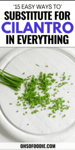 15 Easy Ways To Substitute For Cilantro - Oh So Foodie